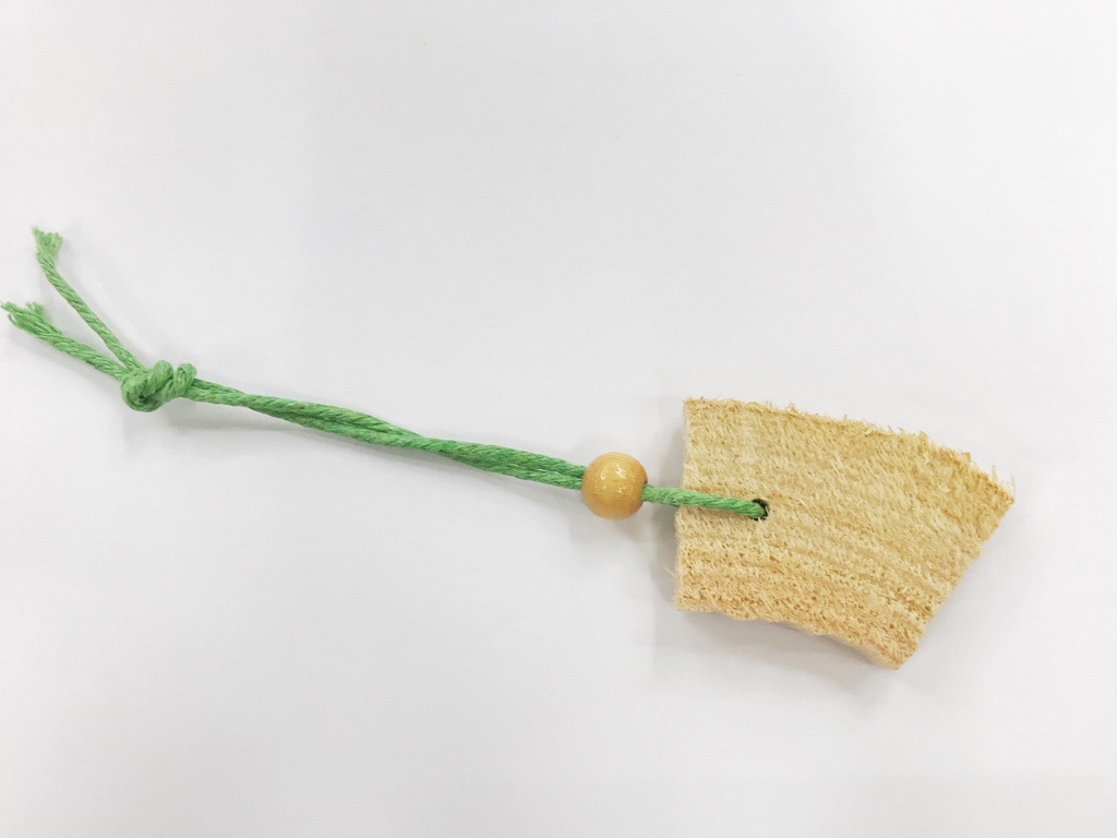 【賛助会員インタビュー】Vol.3 王子ホールディングス様 | ESD-J 特定非営利活動法人 持続可能な開発のための教育推進会議